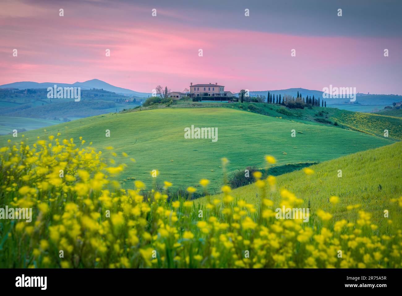 Green grasslands hi-res stock photography and images - Alamy