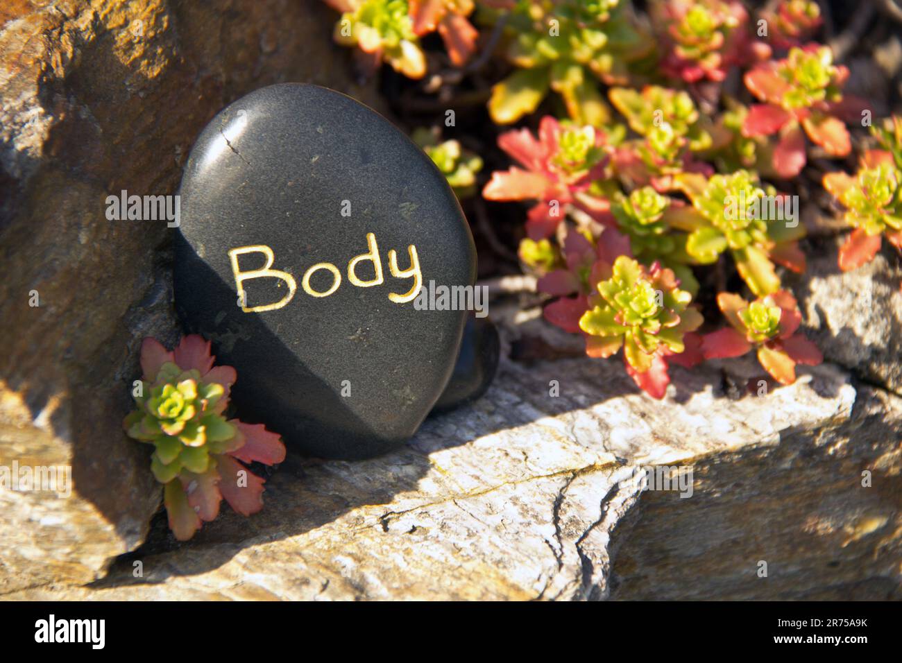 massage stone with the word BODY Stock Photo - Alamy