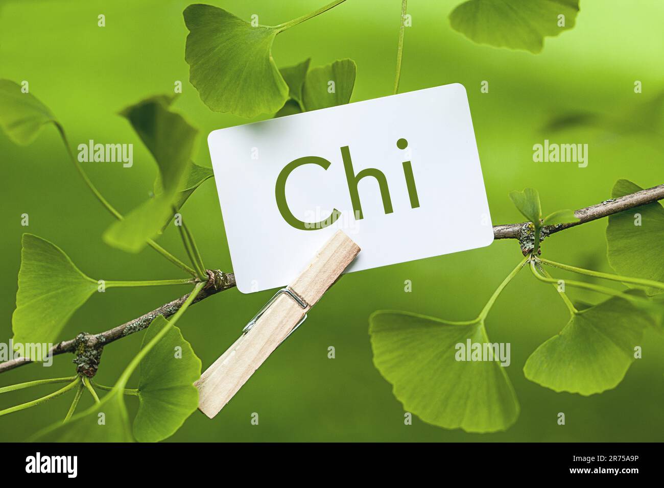 memo sheet at a Ginkgo lettering Chi Stock Photo - Alamy