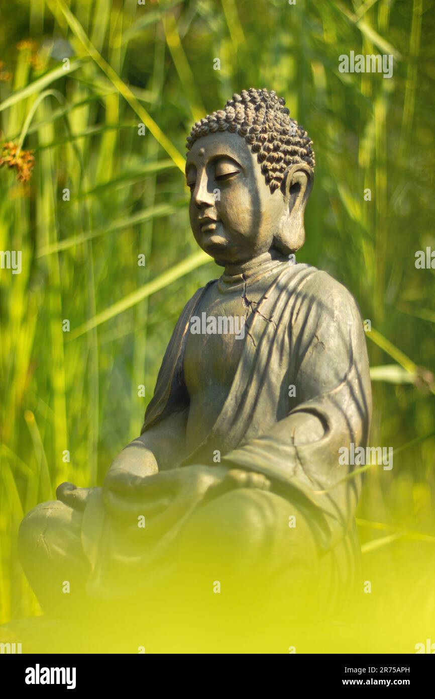 Water buddha hi-res stock photography and images - Alamy