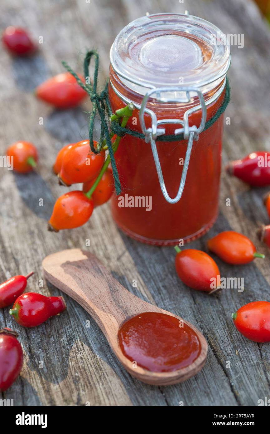 dog rose (Rosa canina), selfmade rose-hip jelly Stock Photo - Alamy