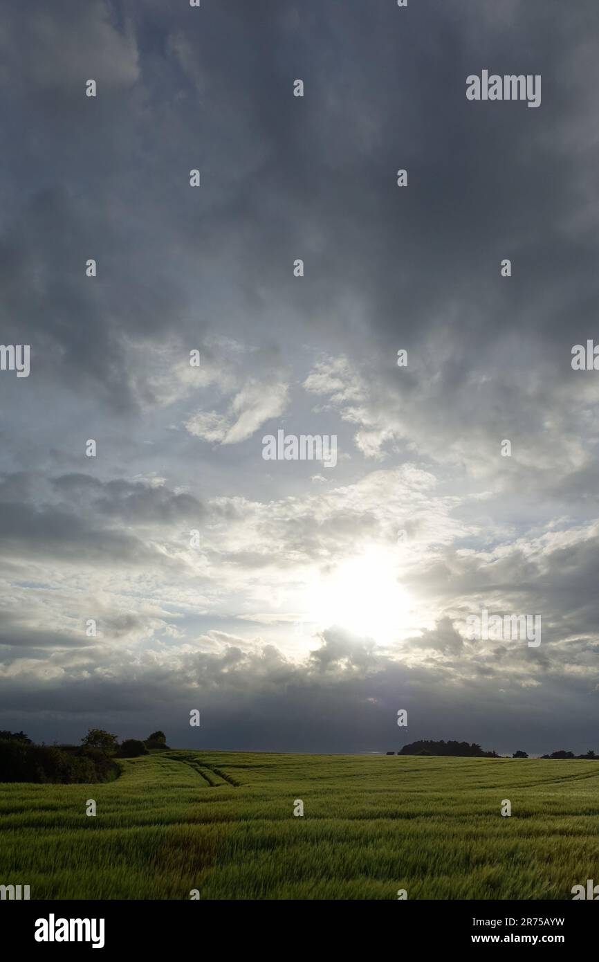 Photographs of brittany hi-res stock photography and images - Alamy