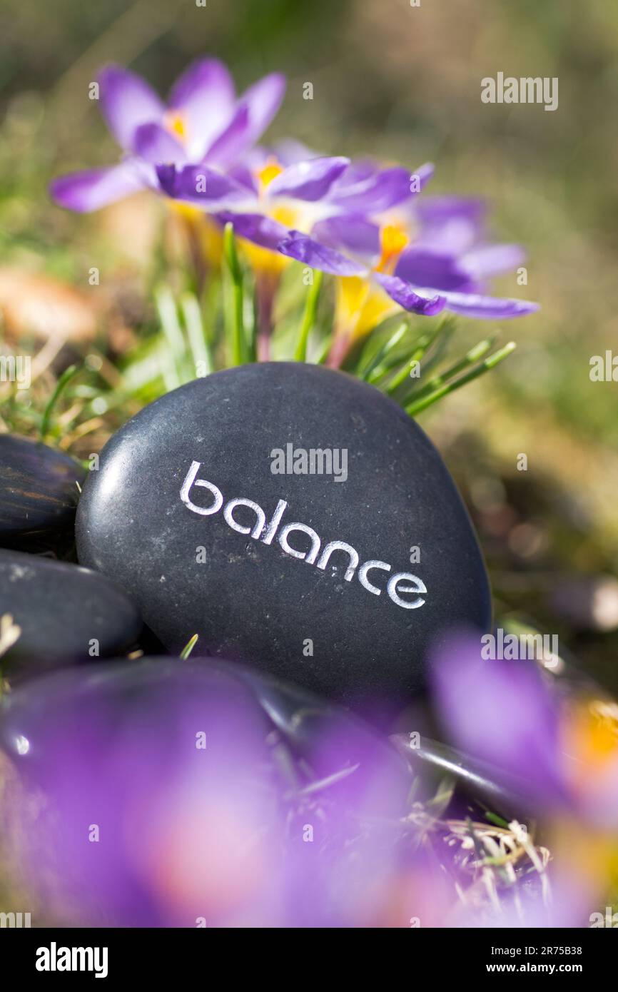 Word balance hi-res stock photography and images - Alamy