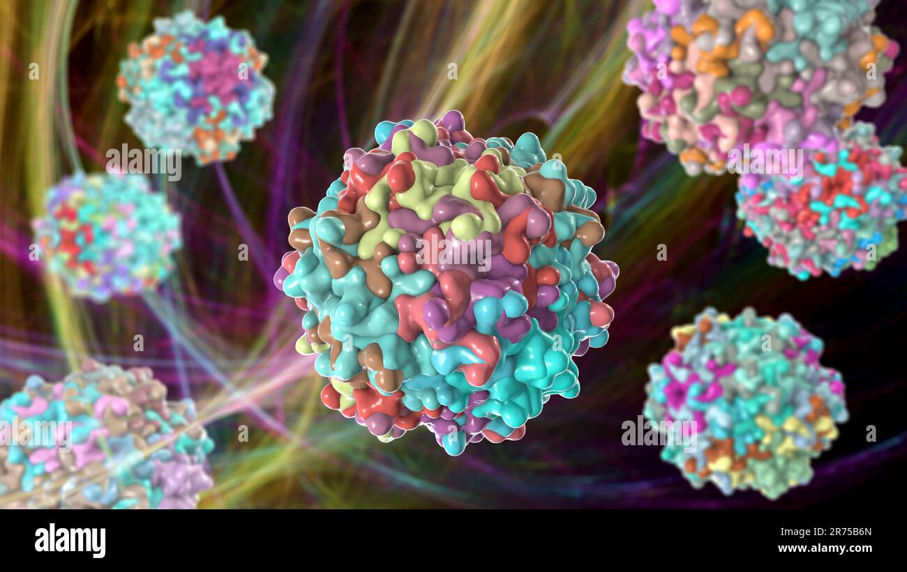 Adeno-associated viruses, computer artwork. Adeno-associated viruses ...