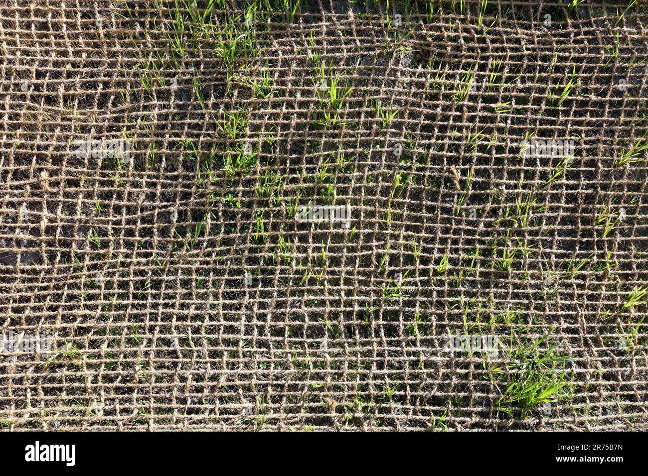 Talus slope hi-res stock photography and images - Alamy