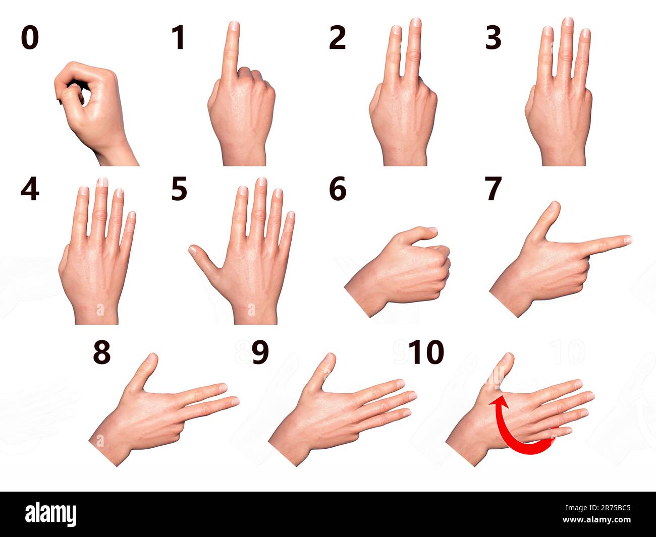 British Sign Language Numbers