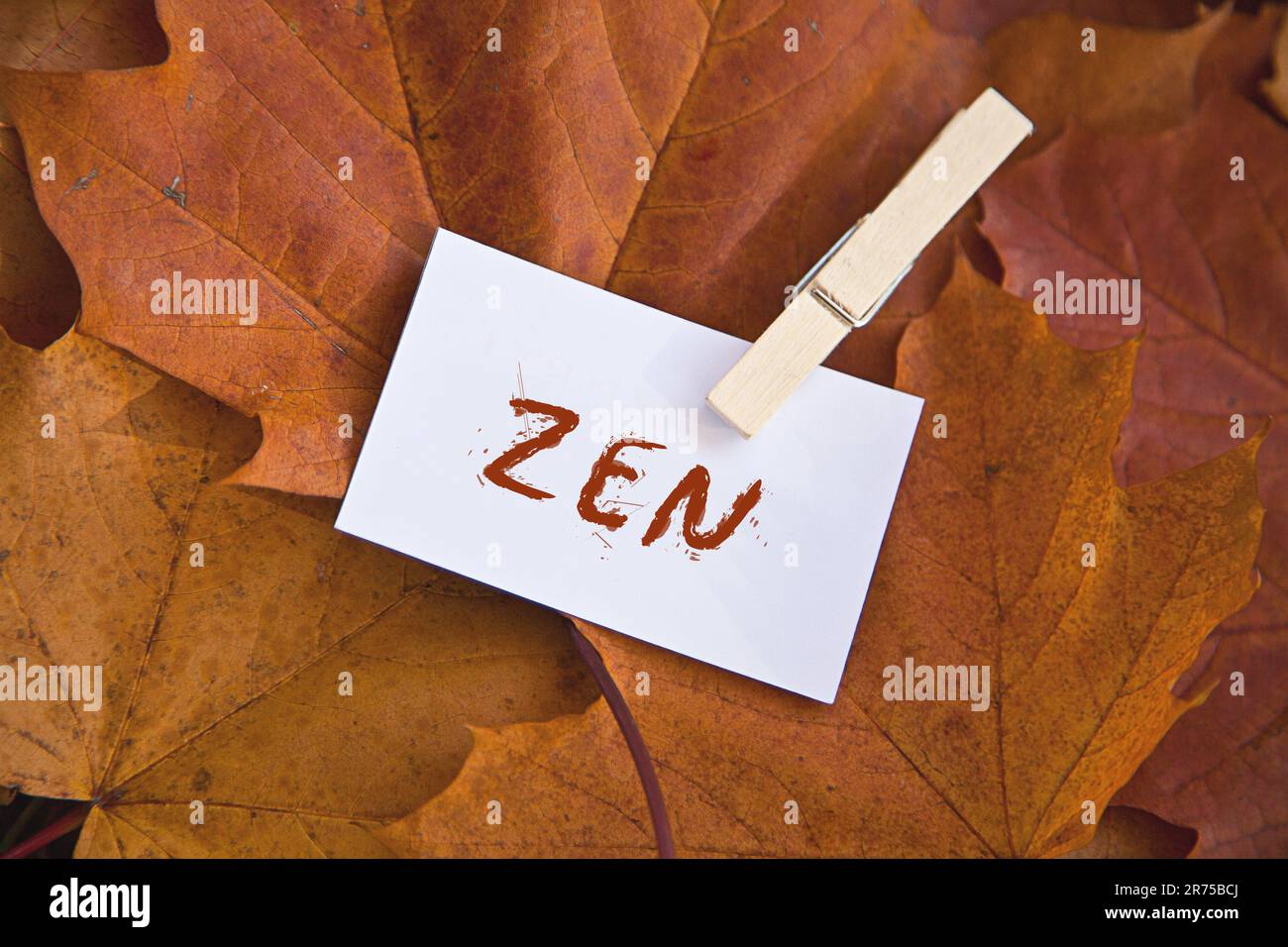autumn leaves with piece of paper lettering ZEN Stock Photo - Alamy