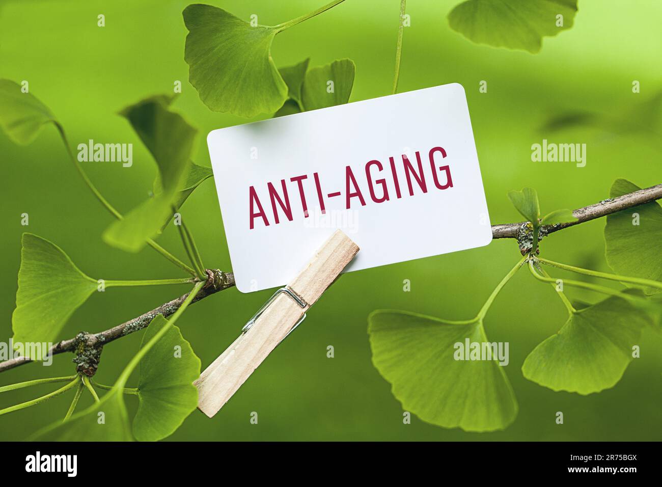 memo sheet at a Ginkgo lettering ANTI-AGING Stock Photo - Alamy