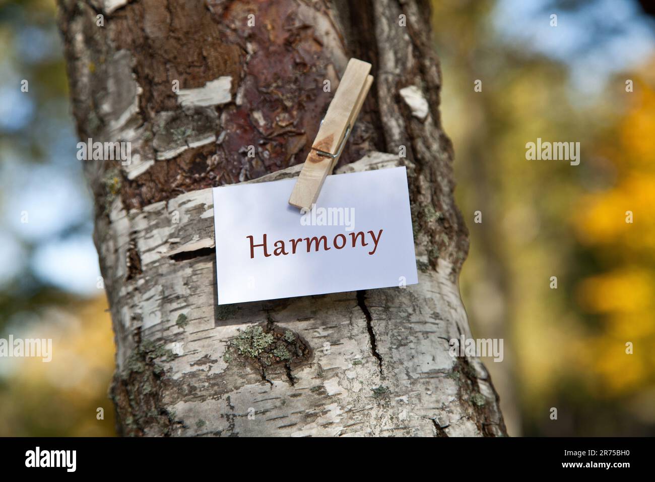 birch trunk with piece of paper lettering HARMONY Stock Photo - Alamy