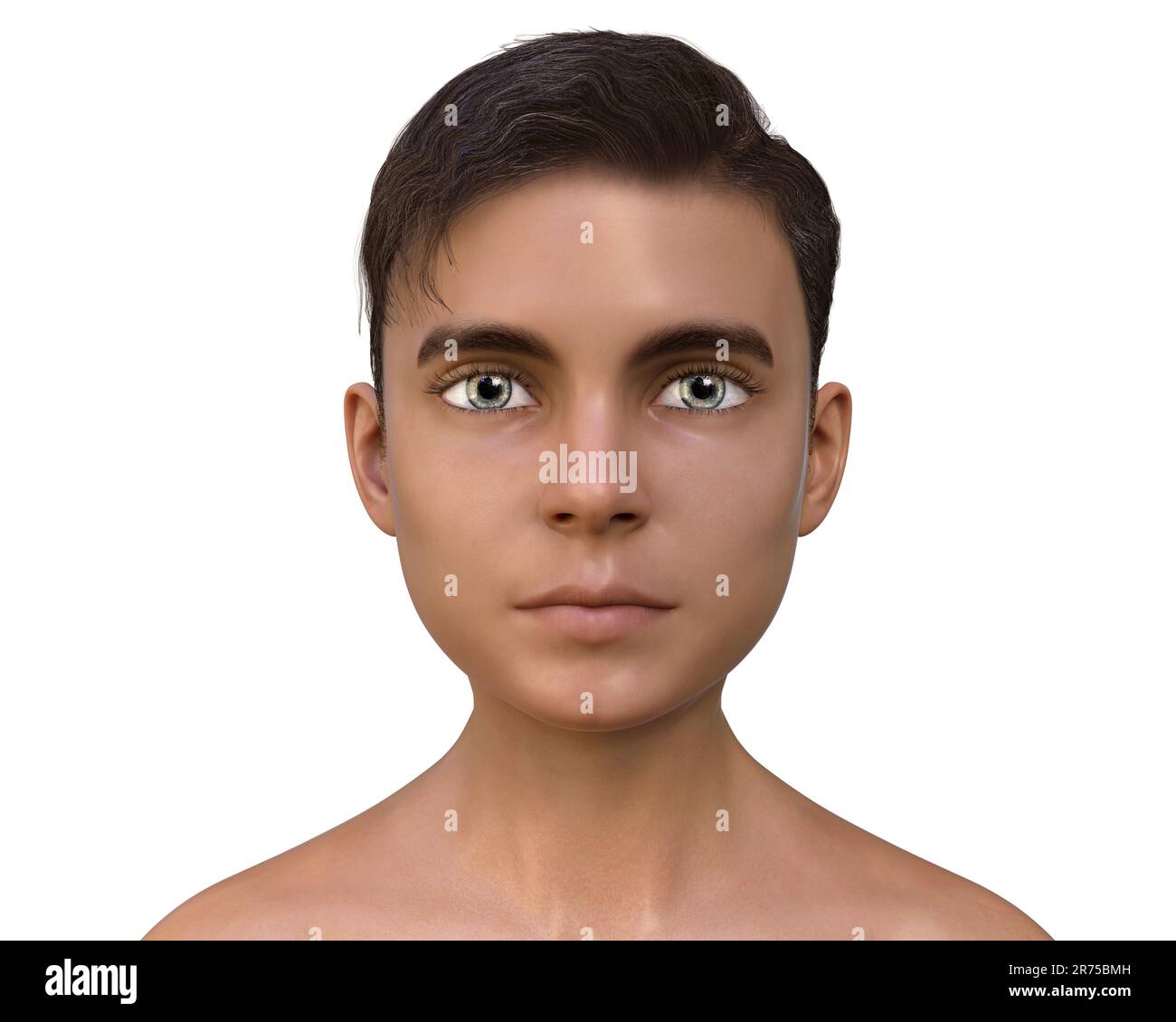 Healthy boy, computer illustration showing normal teenager boy face and ...