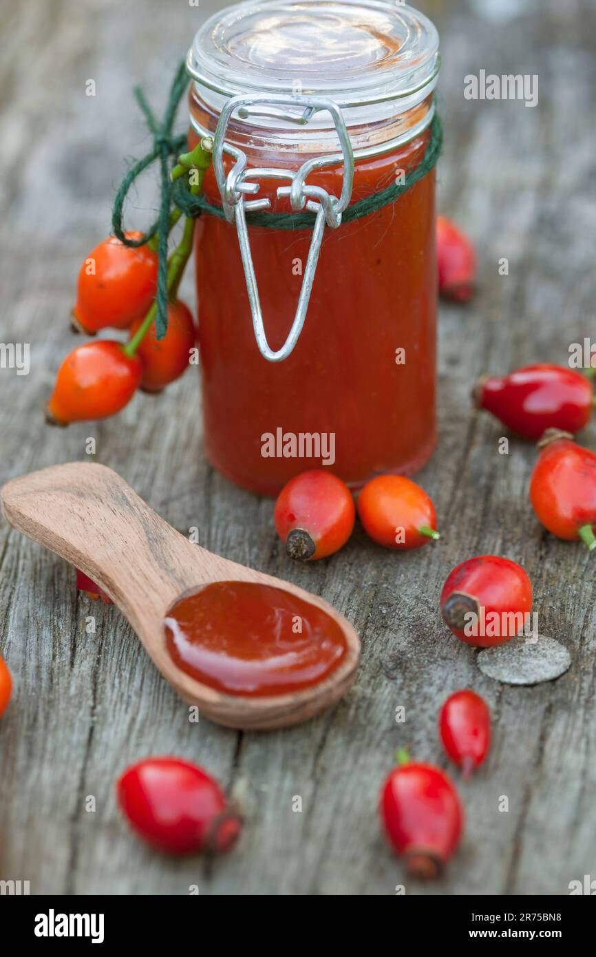 dog rose (Rosa canina), selfmade rose-hip jelly Stock Photo - Alamy