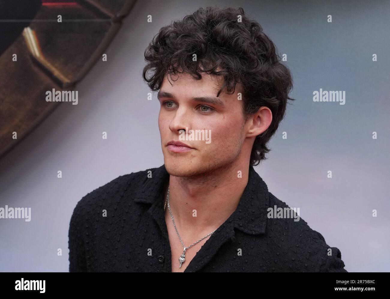 Los Angeles, USA. 12th June, 2023. Curran Walters arrives at the Warner ...