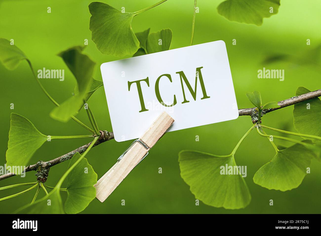 memo sheet at a Ginkgo lettering TCM Stock Photo - Alamy