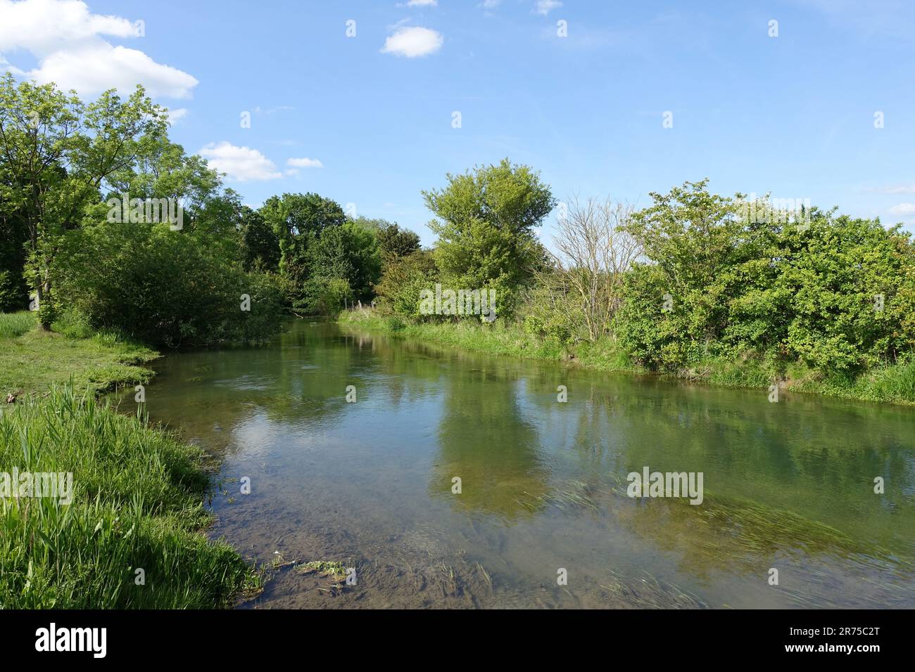 river Heder in nature reserve Sueltsoid, Germany, North Rhine ...