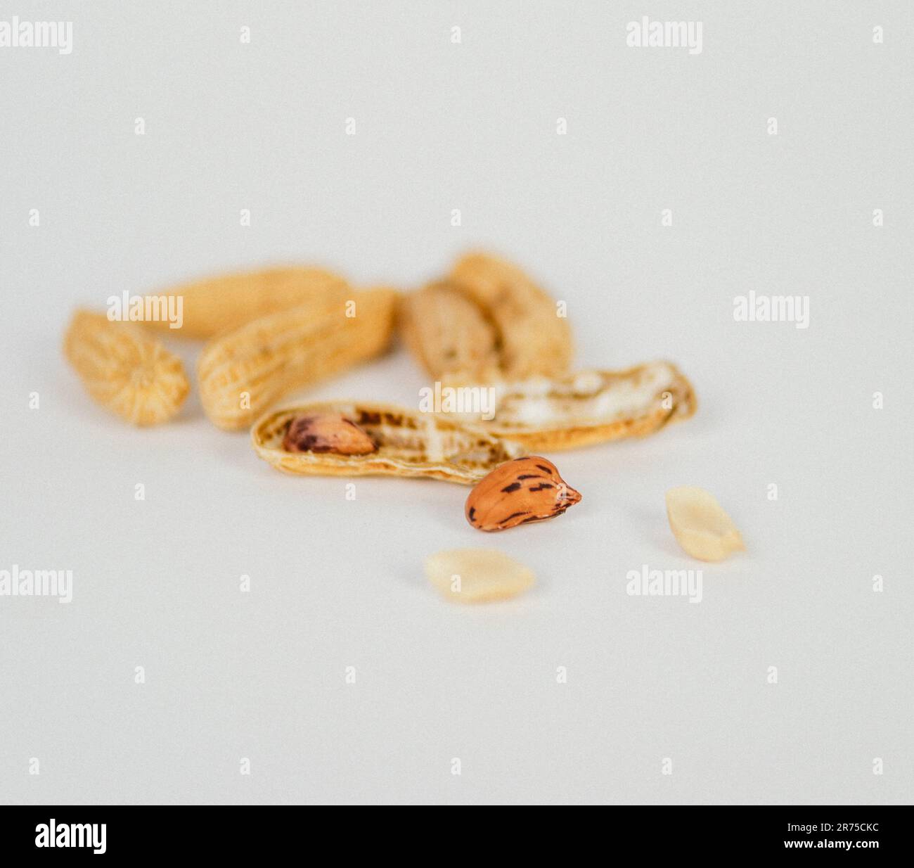 A pile of peanut and seed shells are scattered across the ground on a ...