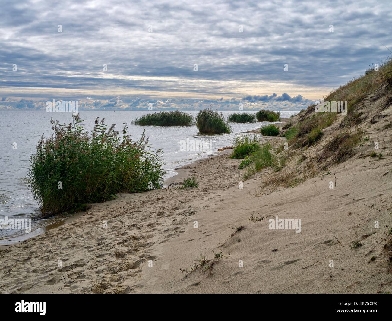 Walk along the Great Dune in Nida on the Curonian Spit, Lithuania Stock ...