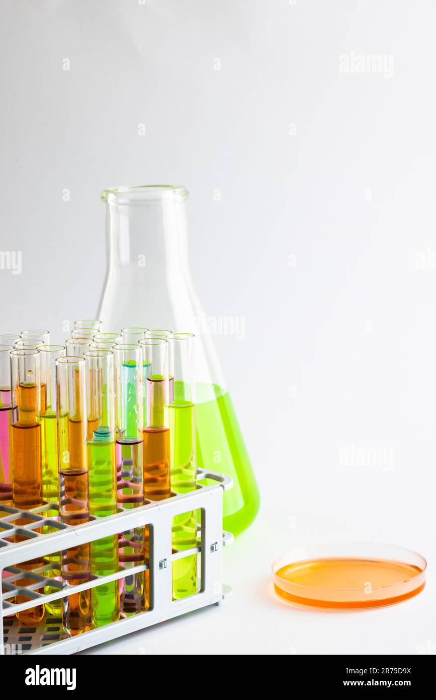 Close up of chemistry test tubes and dishes with liquid and copy space ...