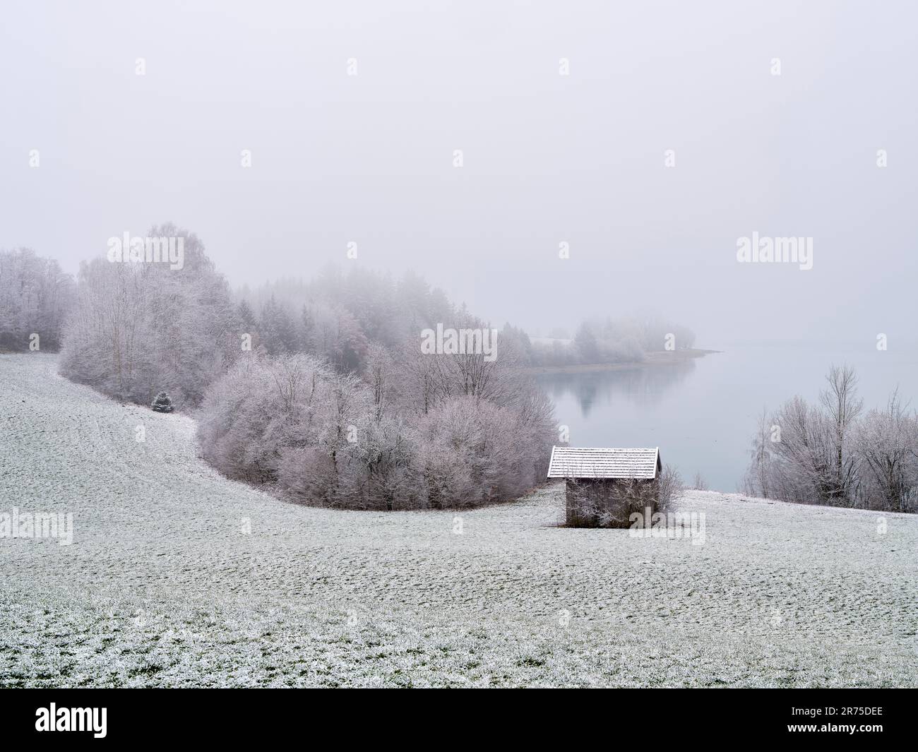 Winter onset at the Forggensee between Halblech and Roßhaupten Stock ...