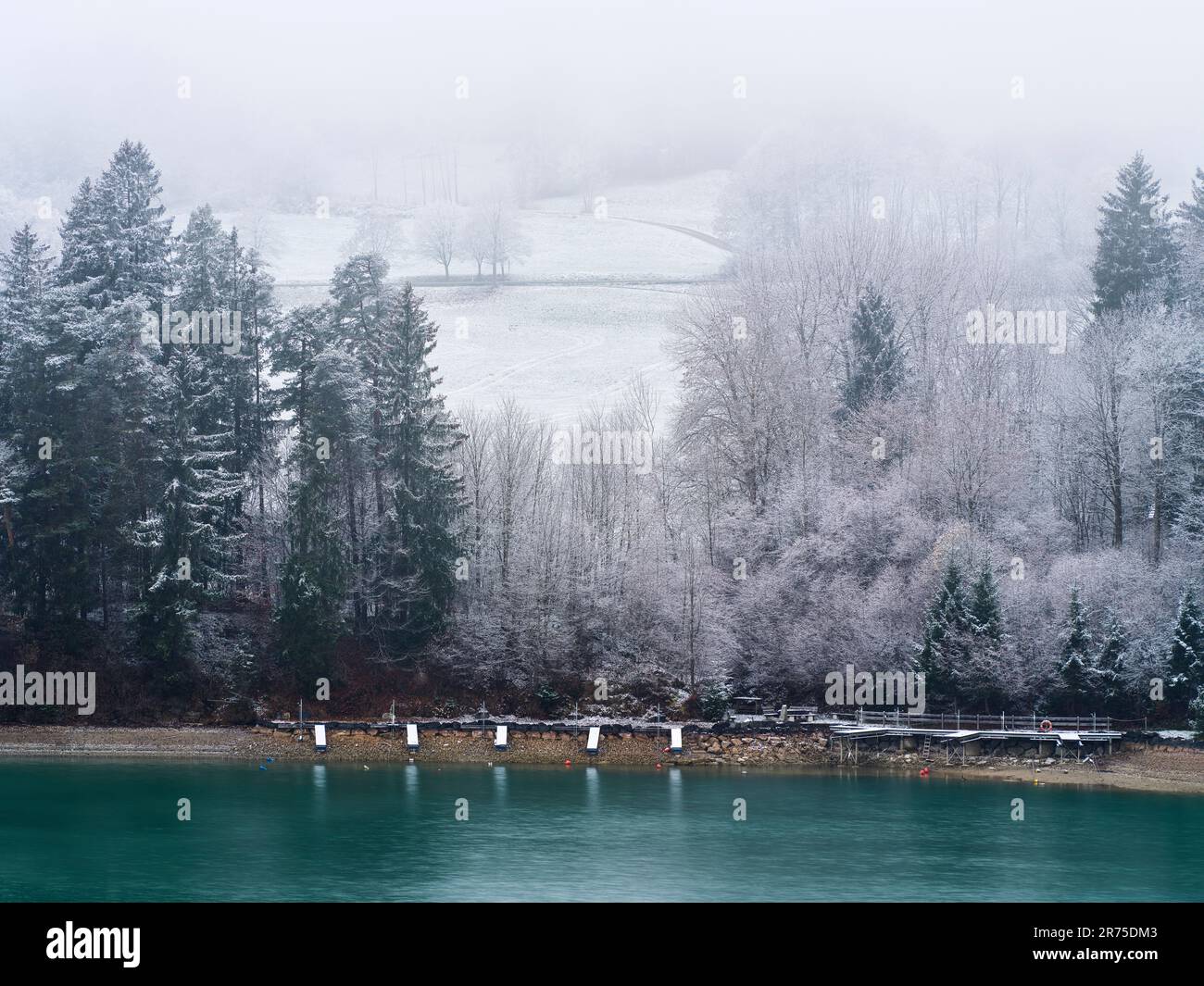 Winter onset at the Forggensee between Halblech and Roßhaupten Stock ...