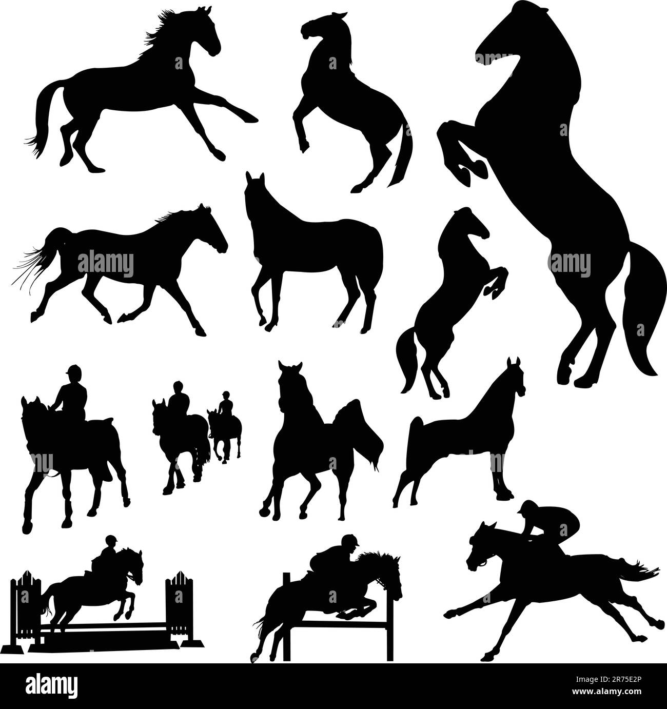 Free running horses Cut Out Stock Images & Pictures - Alamy