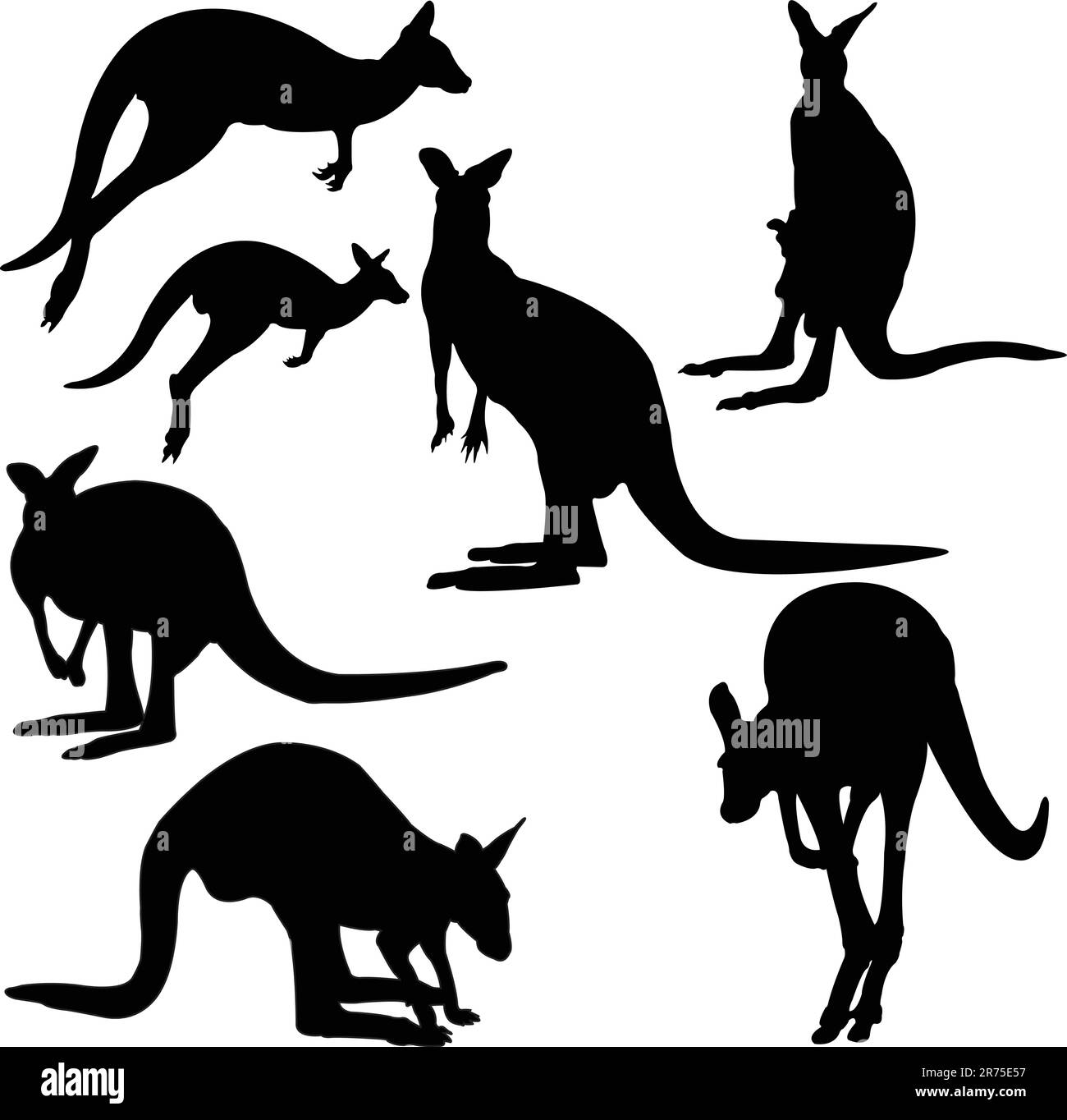 kangaroo - vector Stock Vector Image & Art - Alamy
