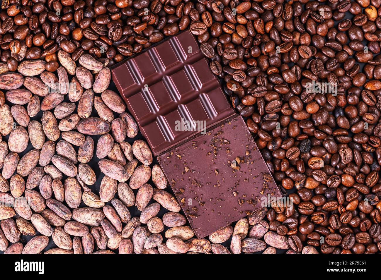Chocolate Cocoa Bean To Bar