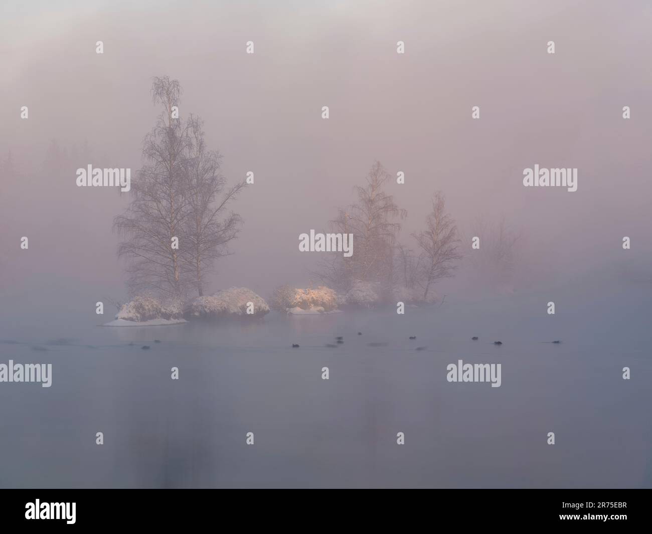 Recreation area weitmannsee hi-res stock photography and images - Alamy