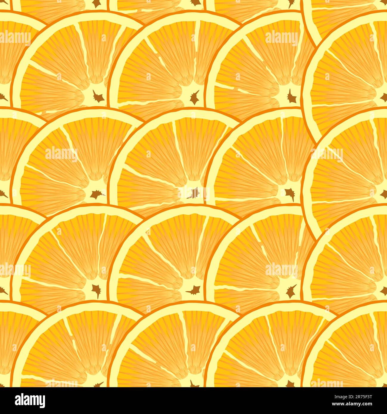 Citrus cross section Stock Vector Images - Alamy