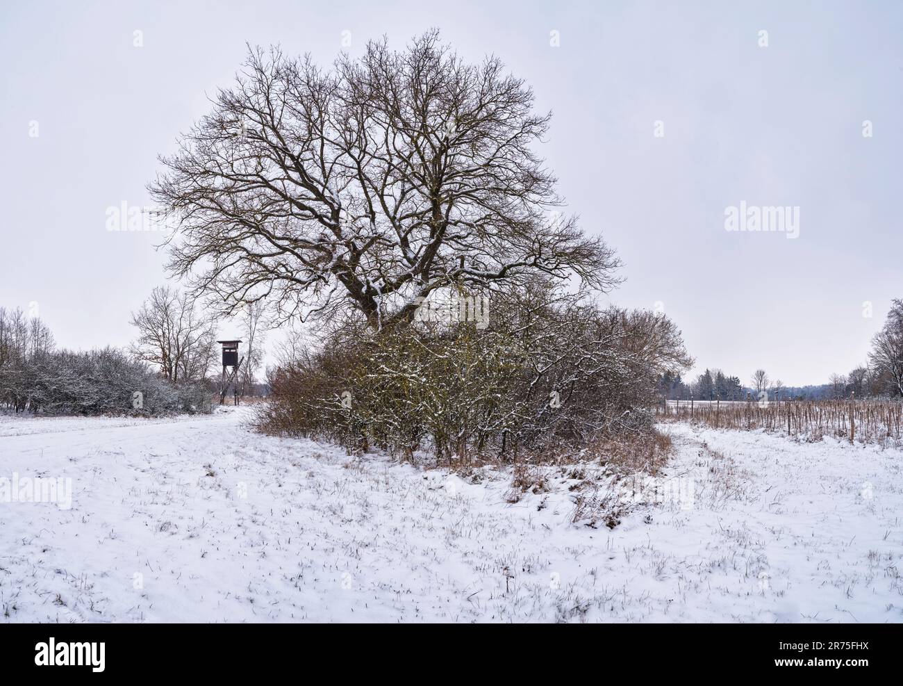 Winter day in the Hurlach Heath, Hurlach Colony Stock Photo - Alamy
