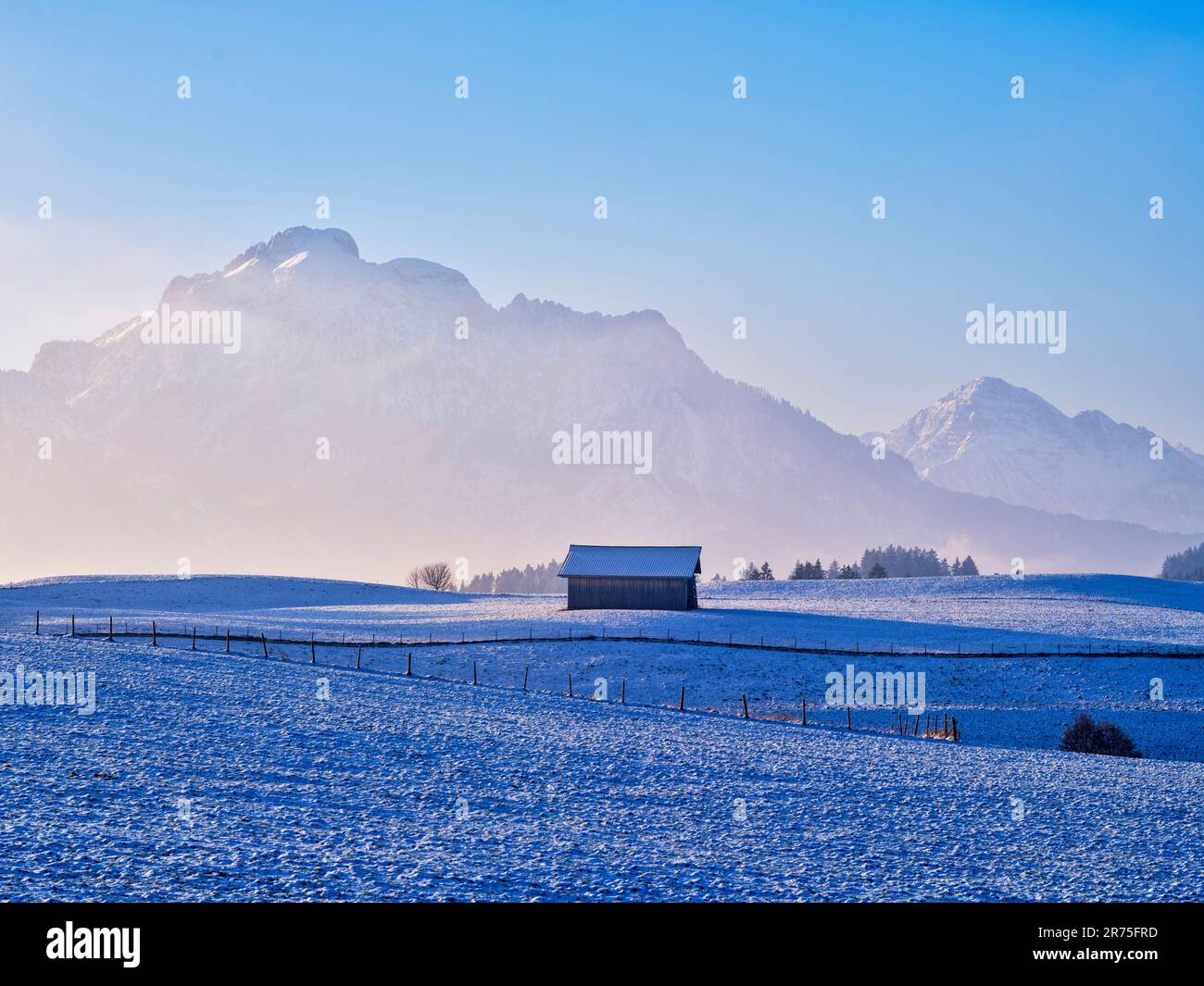 Winter at the forggensee hi-res stock photography and images - Alamy