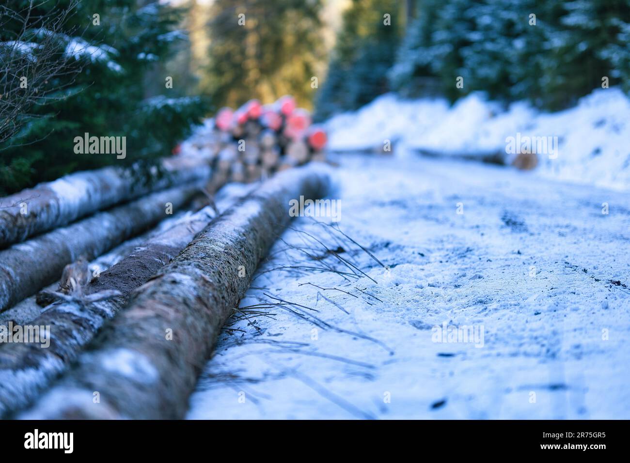 A stack of logs in a wintery setting, with snow coating the ground ...