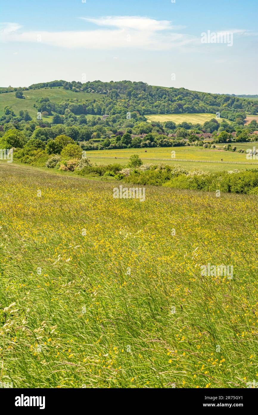 Church hill findon hi-res stock photography and images - Alamy