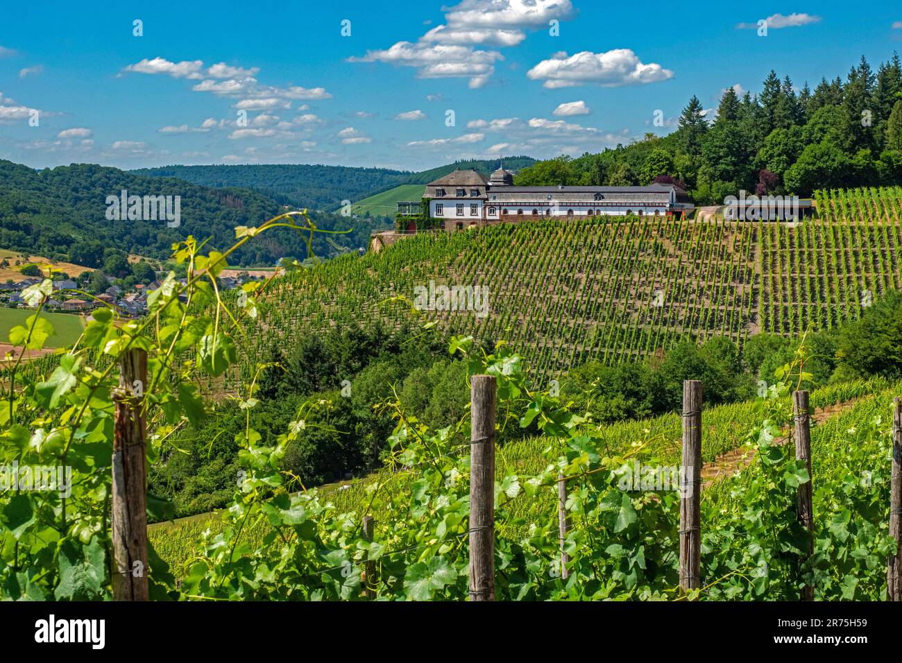 Germany rhineland palatinate saar castle serrig hi-res stock ...