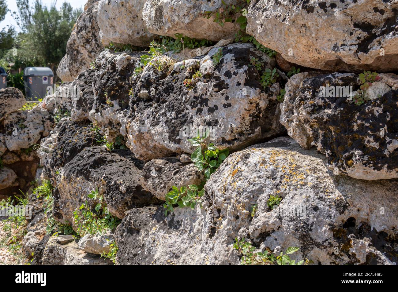 Talayot of Na Pol. Archaeological remains of the Talayotic culture in ...