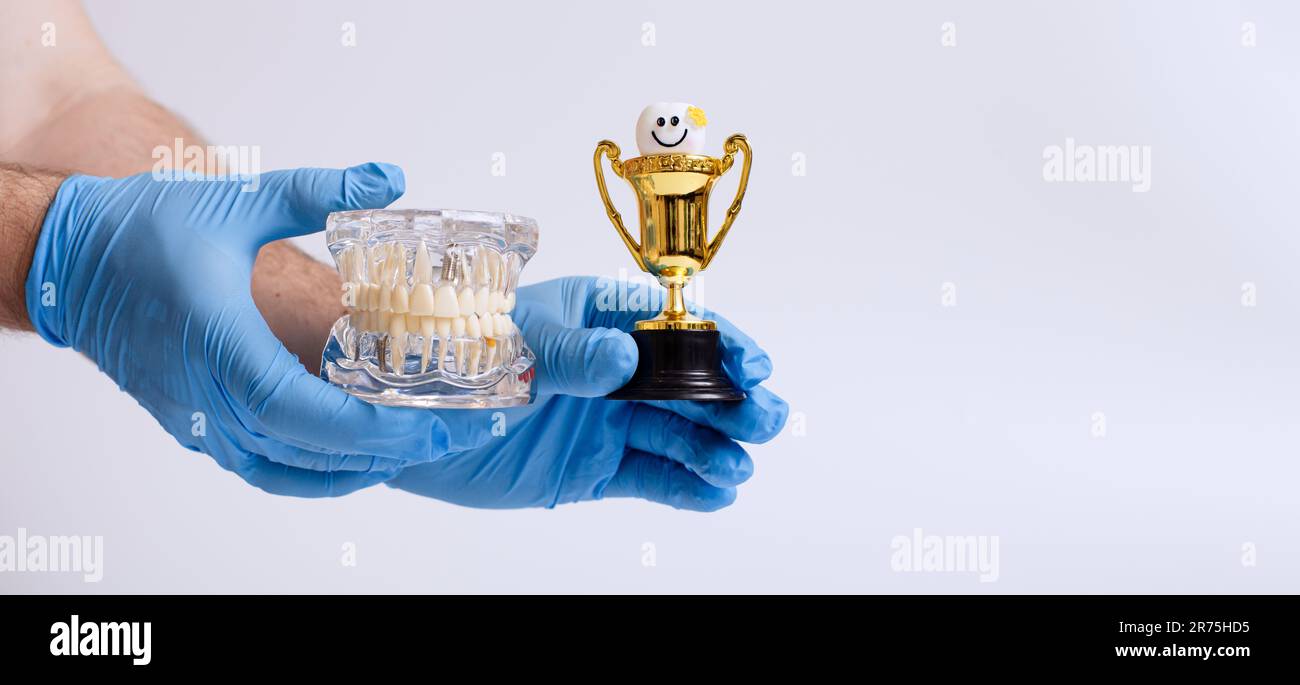 Dentist holding a trophy and a tooth model on a white Stock Photo - Alamy