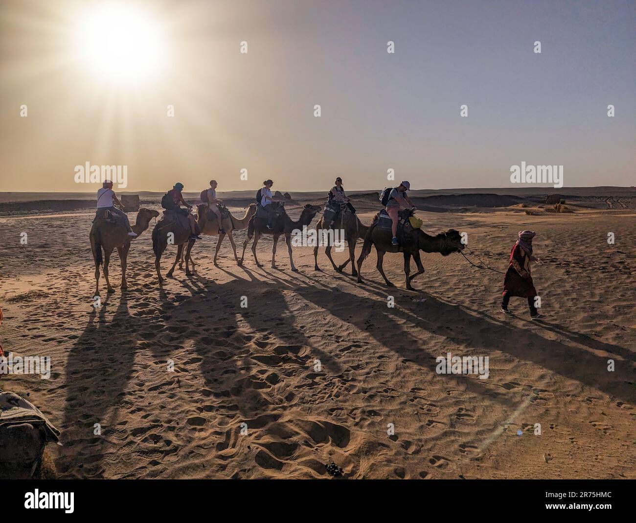 Merzouga desert caravan and dromedaries hi-res stock photography and ...