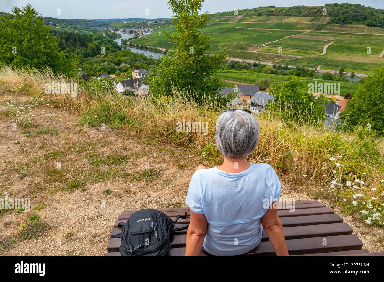 Saar obermosel region hi-res stock photography and images - Alamy
