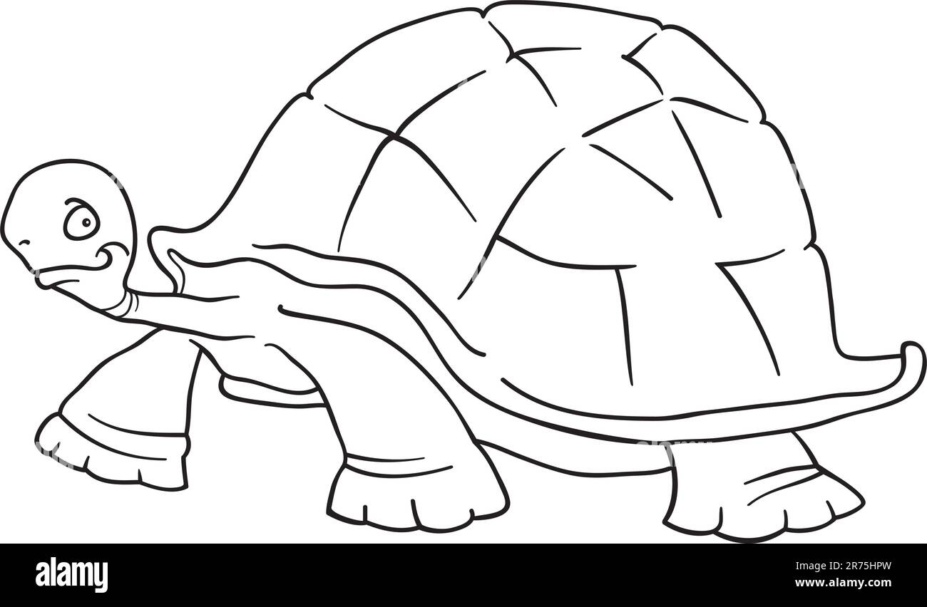 Slow Turtle Clip Art Black And White Royalty Free Vector Illustration