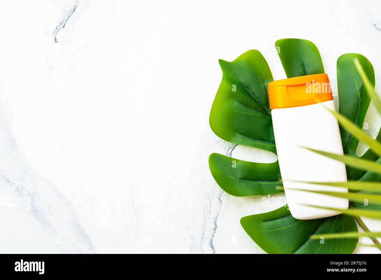 Shell on beach green screen hi-res stock photography and images - Alamy