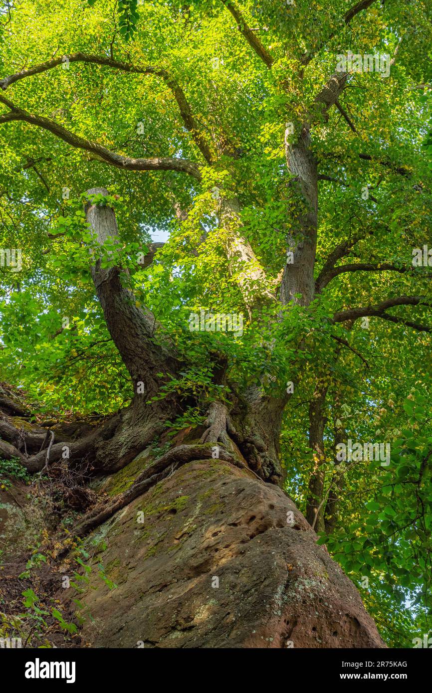 Staadt district of kastel staadt on the saar hi-res stock photography ...