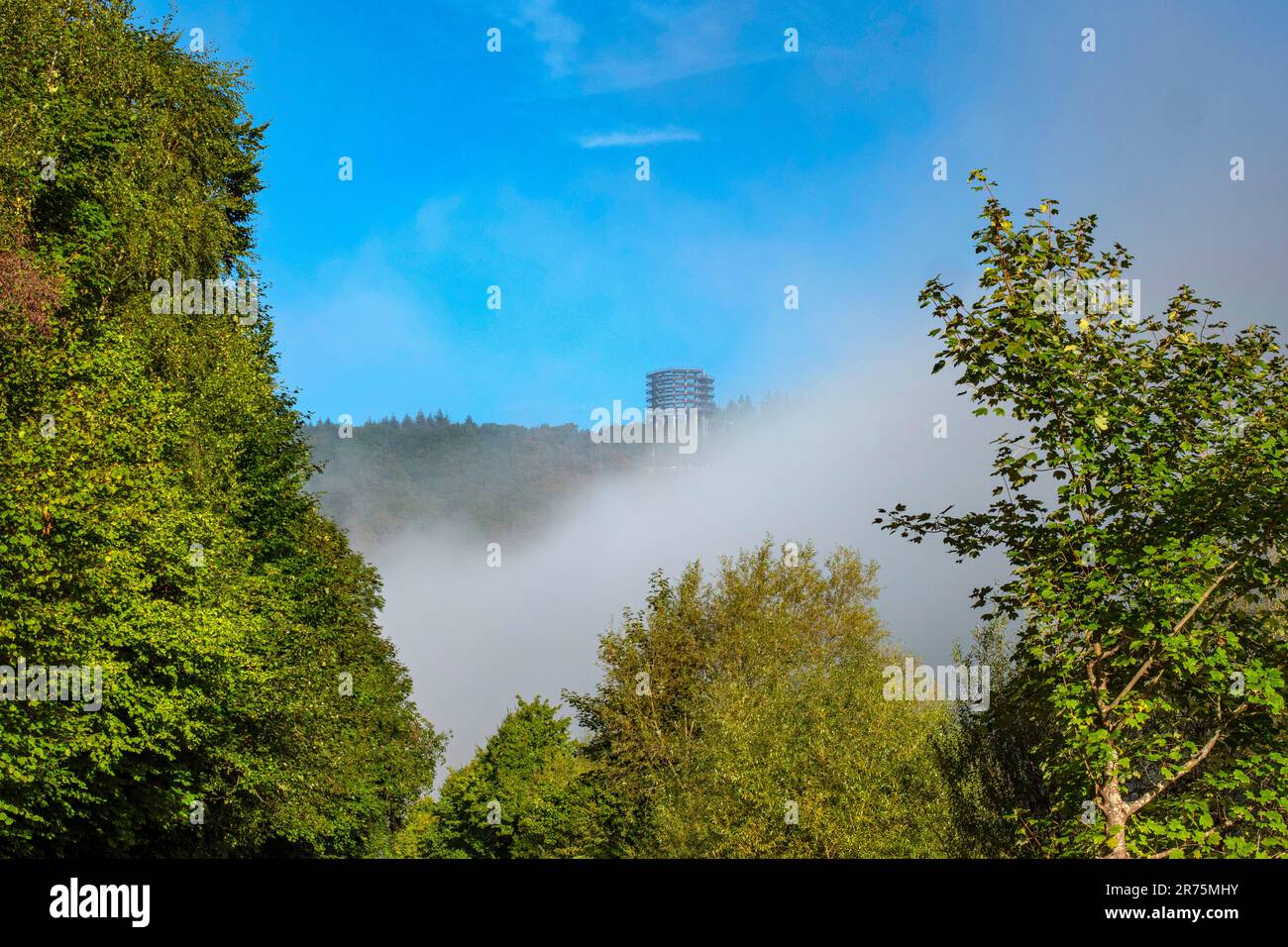 Tree top walk Saarschleife above morning fog on the Cloef in Mettlach ...