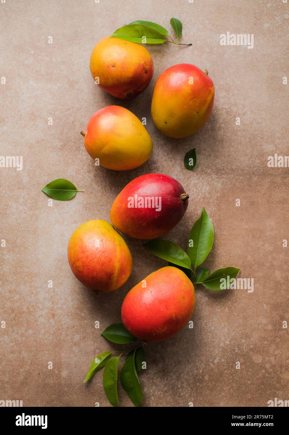 Mango background design concept. Top view of fresh mango fruit pattern ...