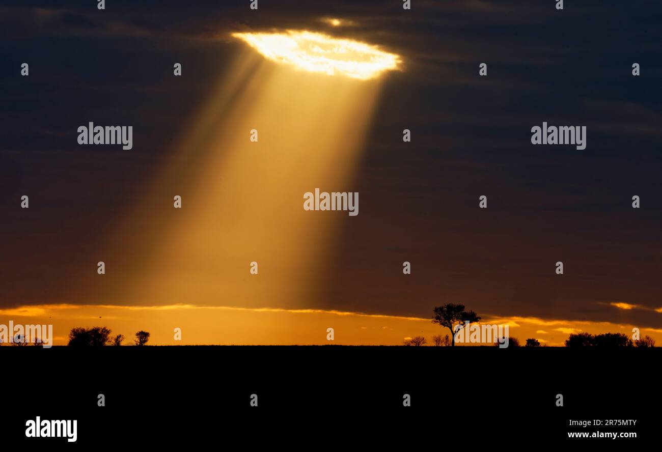 Sunbeam over the Massai Mara, Kenya Stock Photo - Alamy