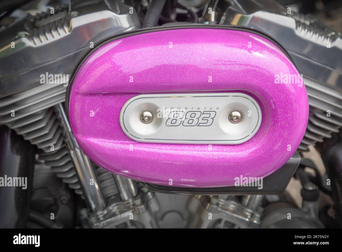 Harley Davidson 883 Sportster, motorcyle, in blue pink, details Stock ...