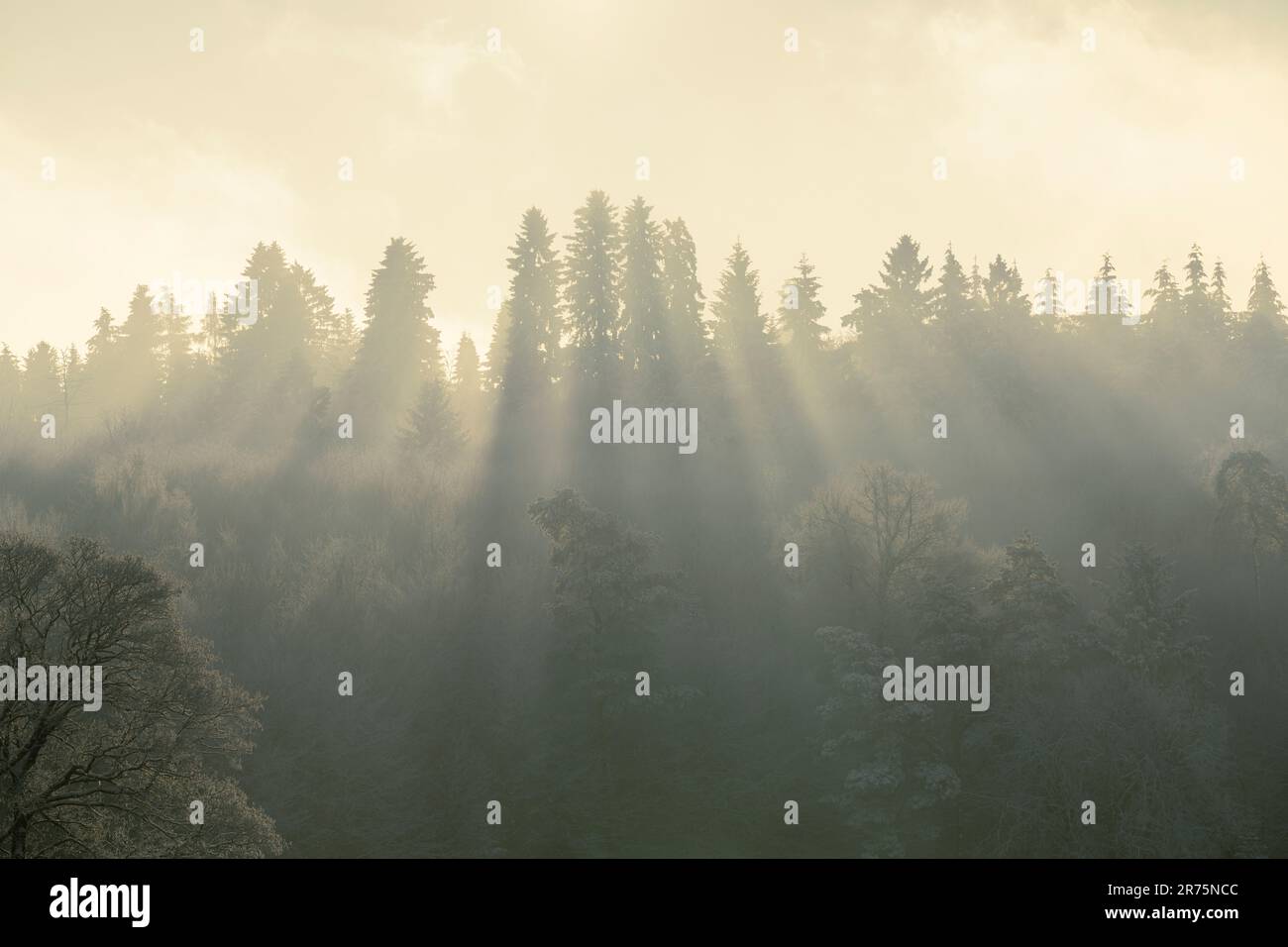 Sunrise over swabian forest hi-res stock photography and images - Alamy