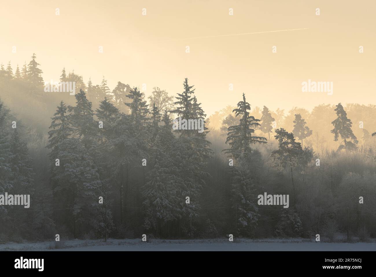 Sunrise over swabian forest hi-res stock photography and images - Alamy