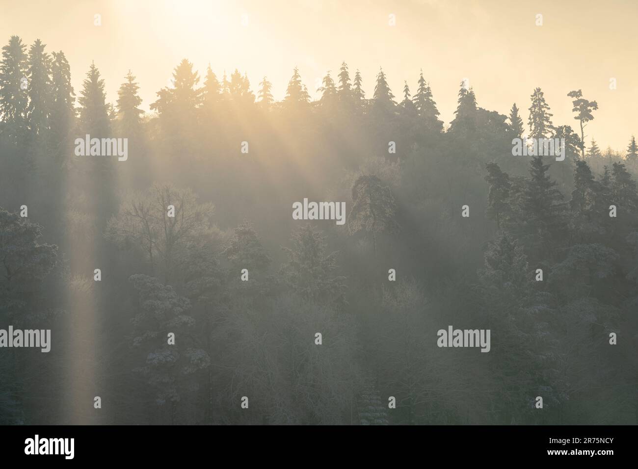 Sunrise over swabian forest hi-res stock photography and images - Alamy