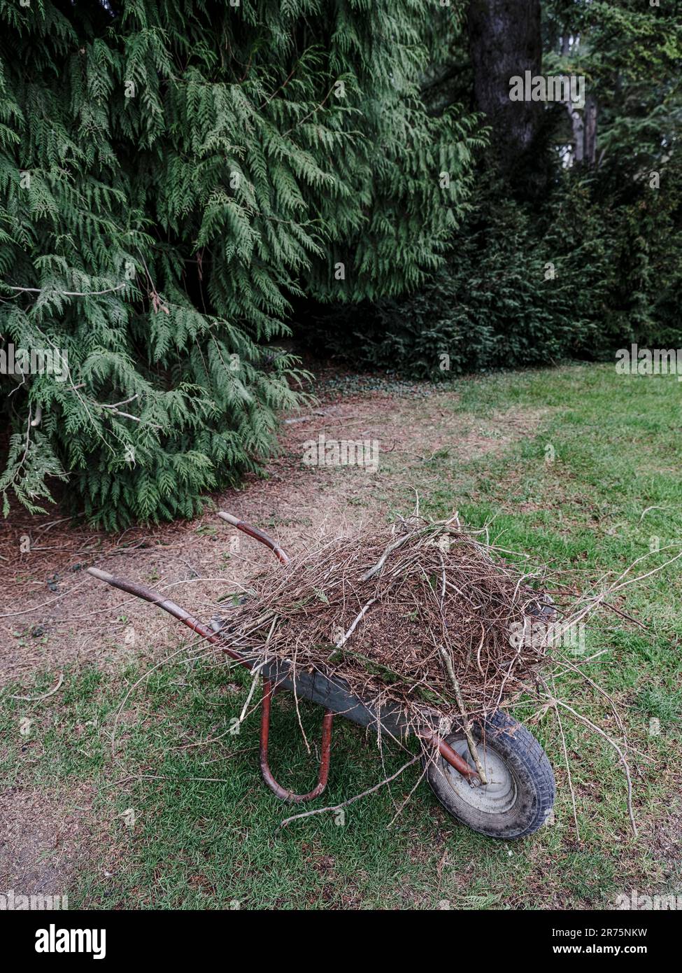 Wheelbarrow full garden hi-res stock photography and images - Alamy