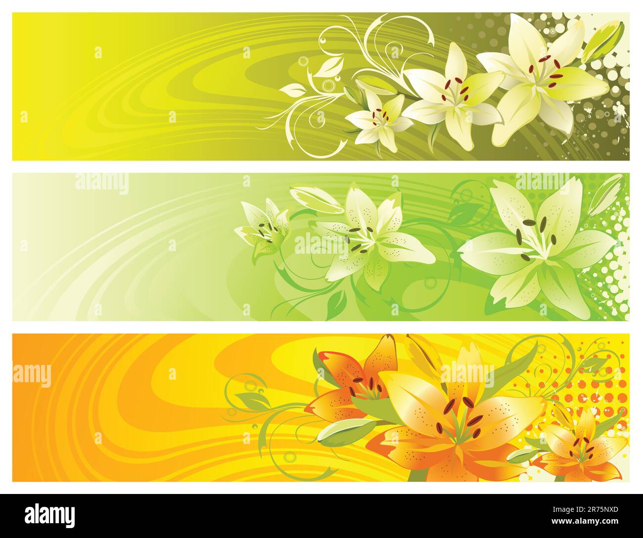 Abstract floral design. Vector illustration Stock Vector Image & Art ... Abstract floral design. Vector illustration Stock Vector Image & Art ...