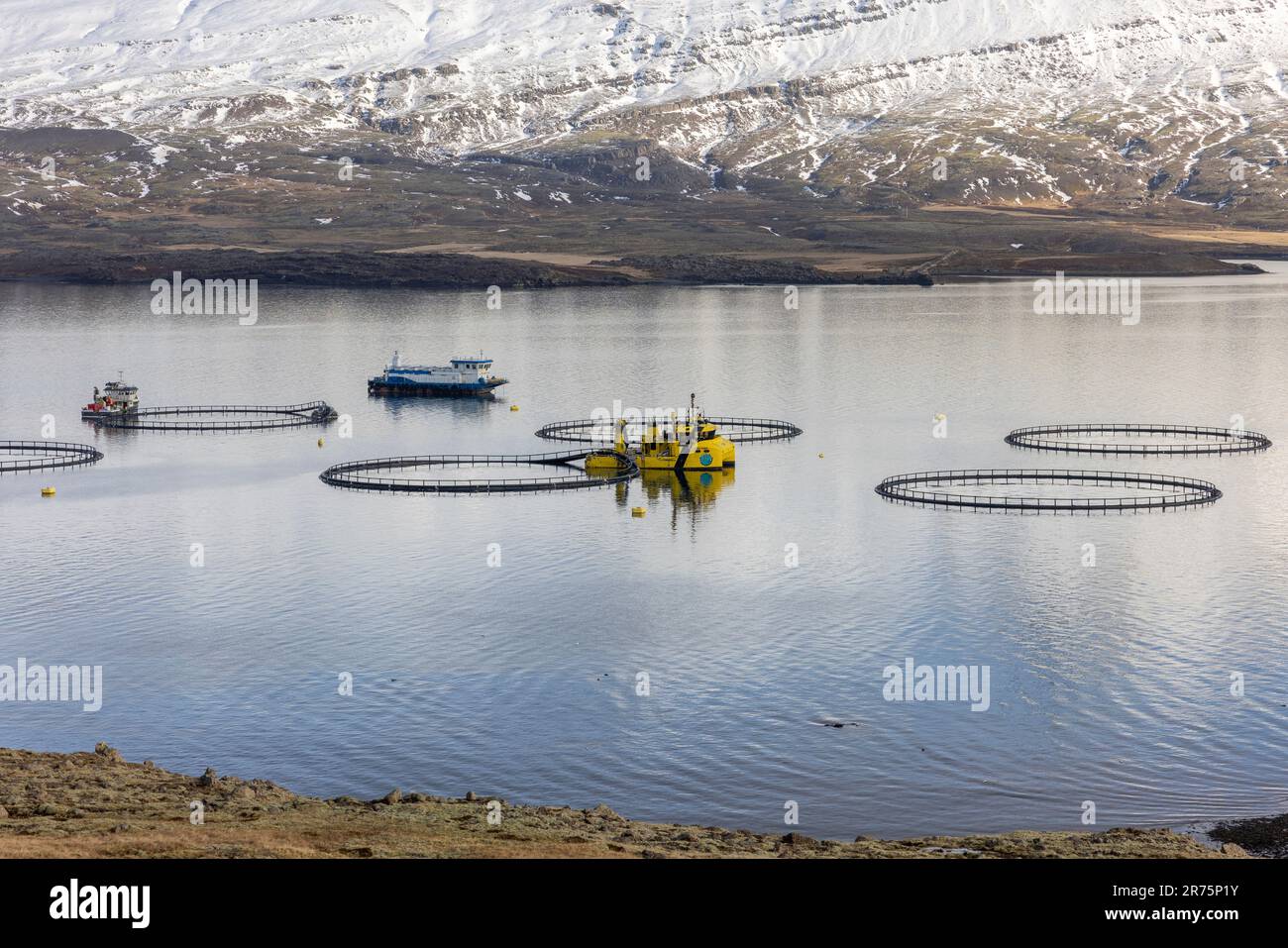 Aquafarming hi-res stock photography and images - Alamy